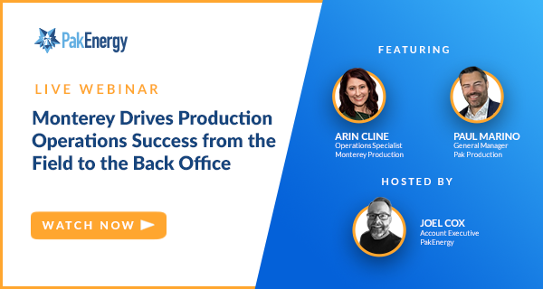 Power and Renewables - Renewable Energy Software Solutions | PakEnergy