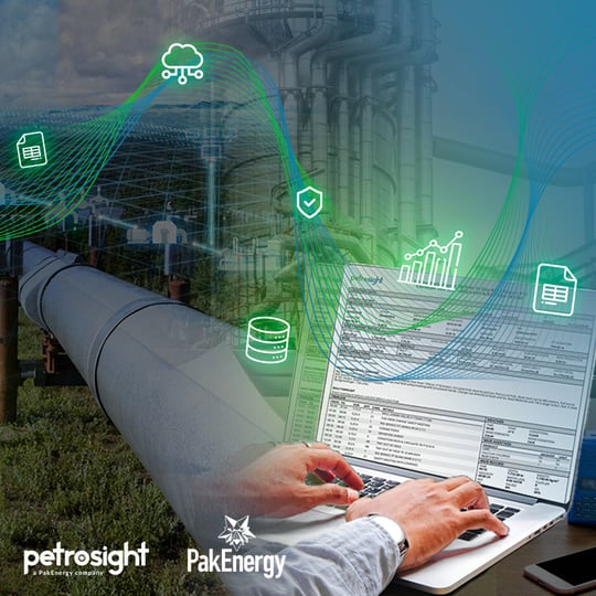 The End of Spreadsheet Chaos: How Petrosight Transformed Well Reporting